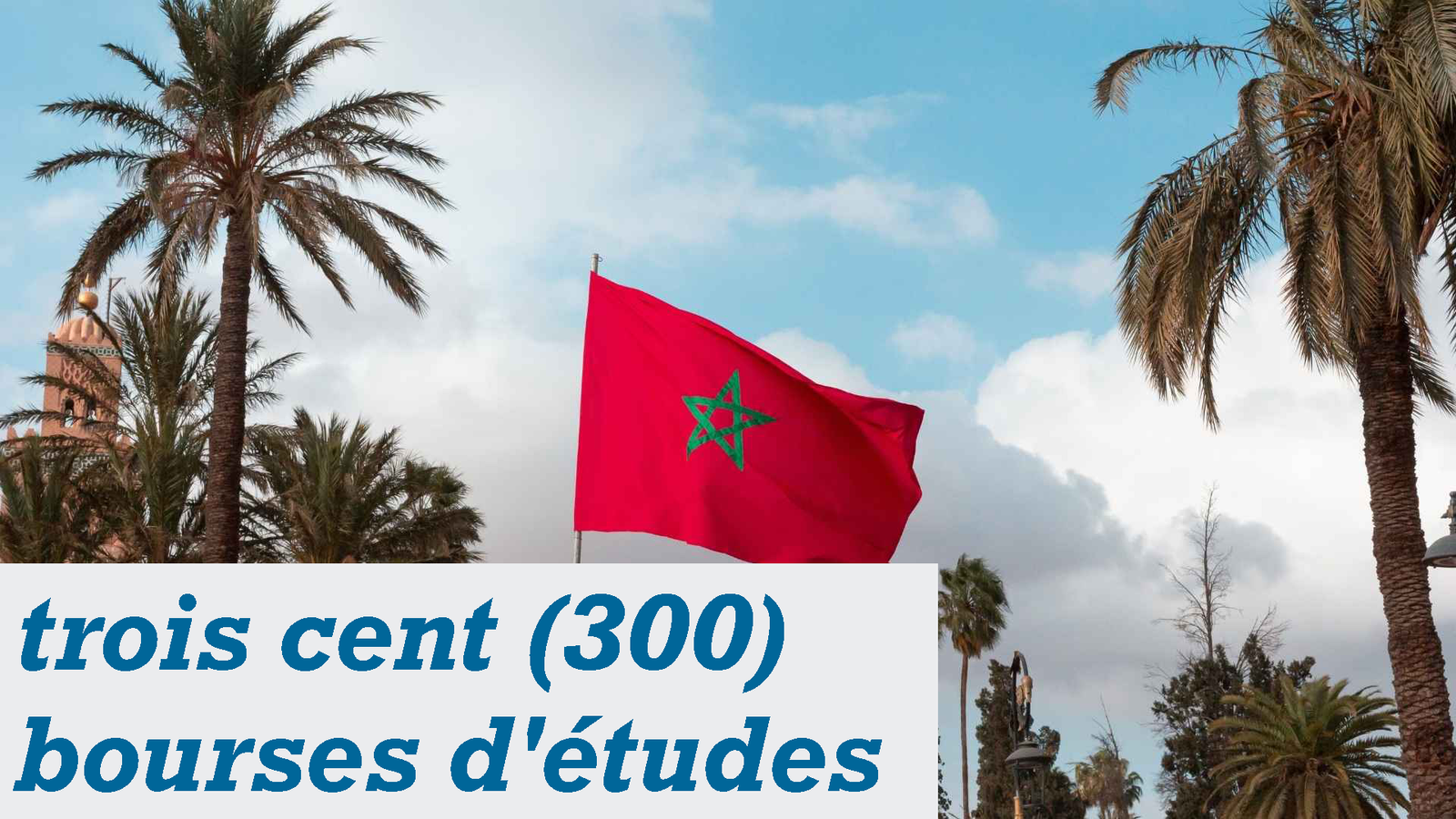 Offre de Bourses : Le Gouvernement du Royaume du Maroc offretrois cent ...